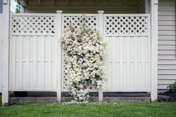 Nos conseils pour décorer votre palissade en bois - TerrasseBois